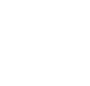 Finaccess Capital - Grupo Finaccess